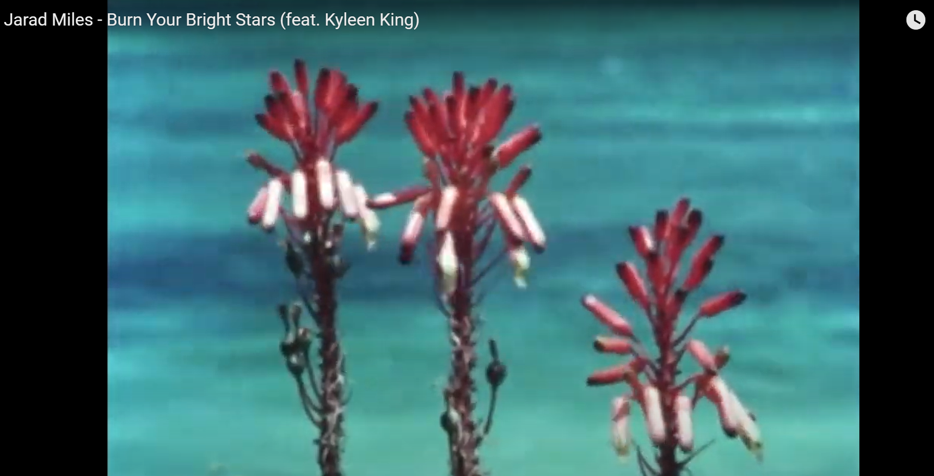 New MN Music Video Premiere: Burn Your Bright Stars by Jarad Miles – Mostly Minnesota